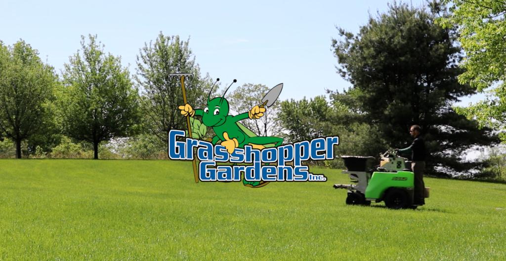 Green Grass, Happy Lawn: The Power of Lawn Fertilization Services ...