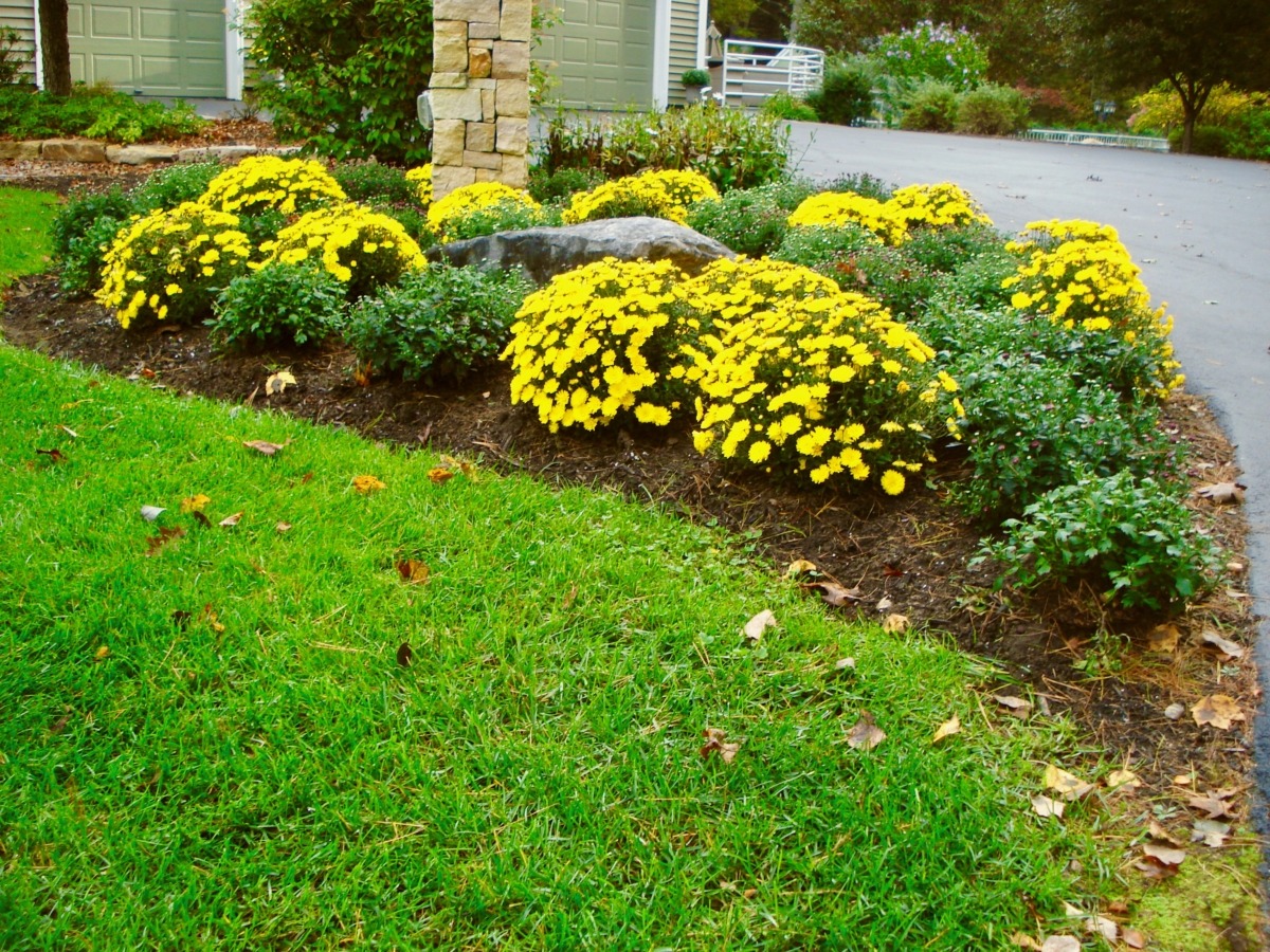 Grasshopper Gardens | Capital Region Landscaping Experts